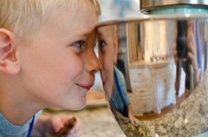 Cake Mix Chocolate M&M Sprinkles Cookies - Easy Recipes for Family Time ...