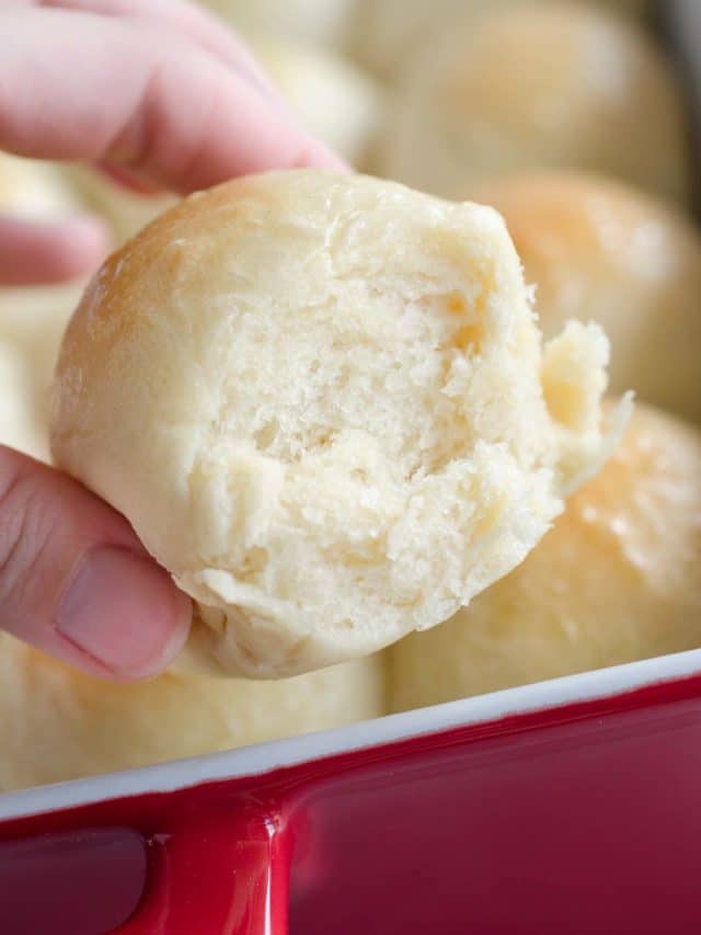 Quick Yeast Rolls Story - Easy Recipes for Family Time - Seeded At The ...